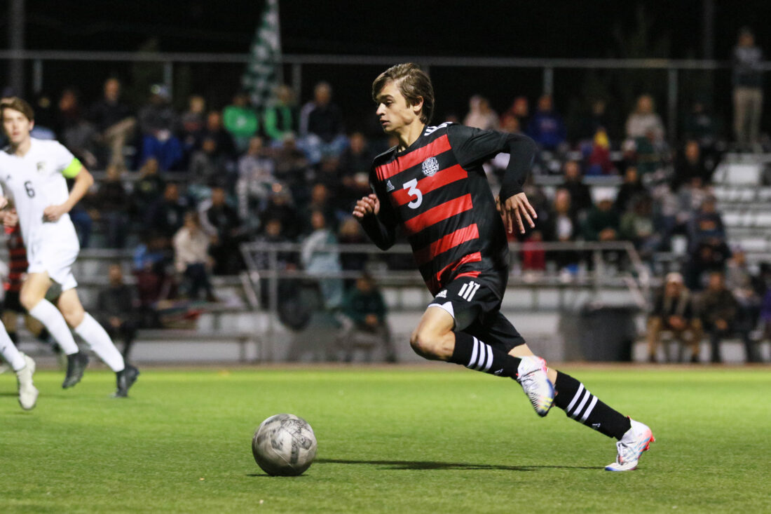 Firebirds top Lions 3-1 in wild soccer City Showdown | News, Sports ...